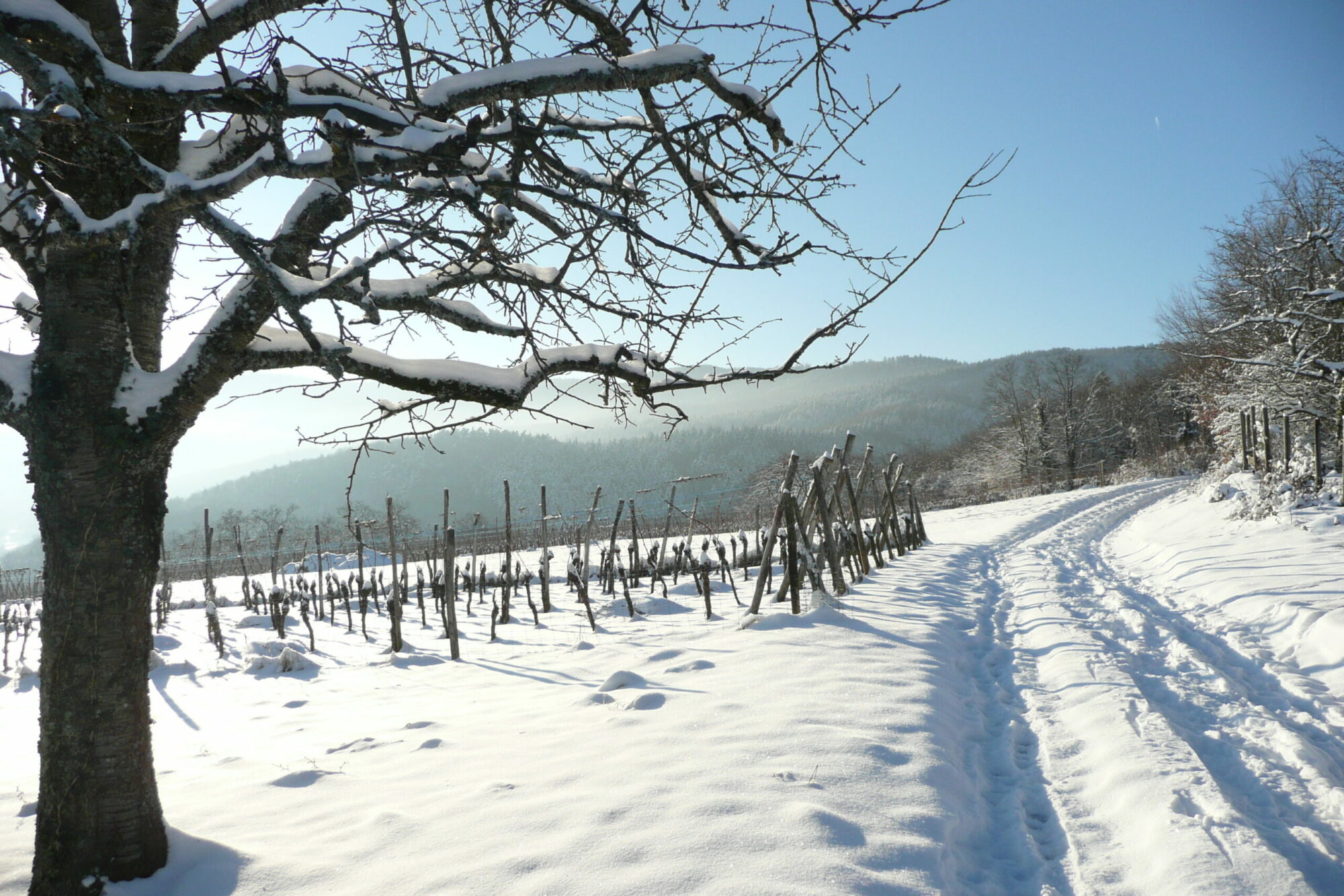 Trouver son chemin | Photos