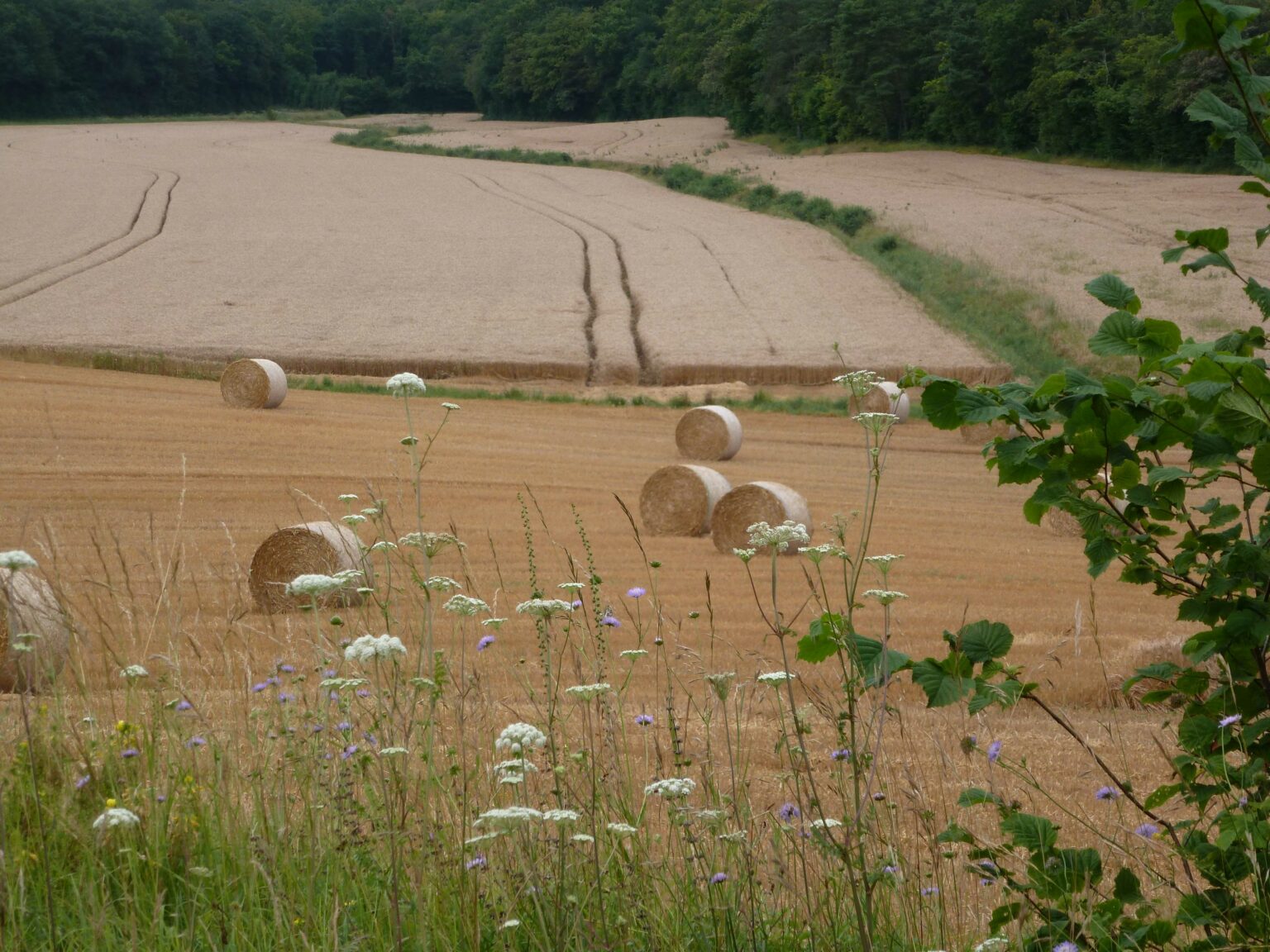 "Priez donc le maître de la moisson d’envoyer des ouvriers pour sa ...